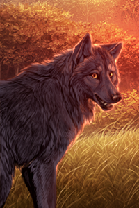 [Grouse House Guides] The Directory: Wolvden Wiki & Info Library ...